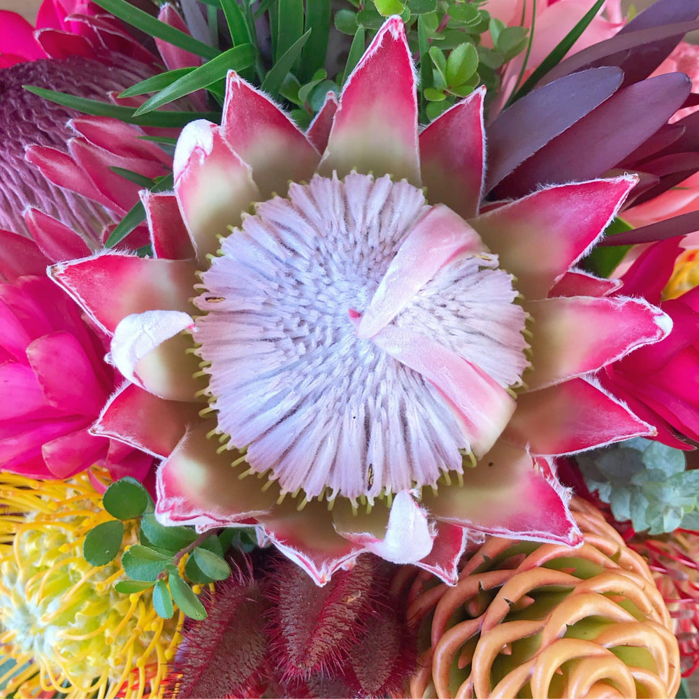 Anuhea Flowers